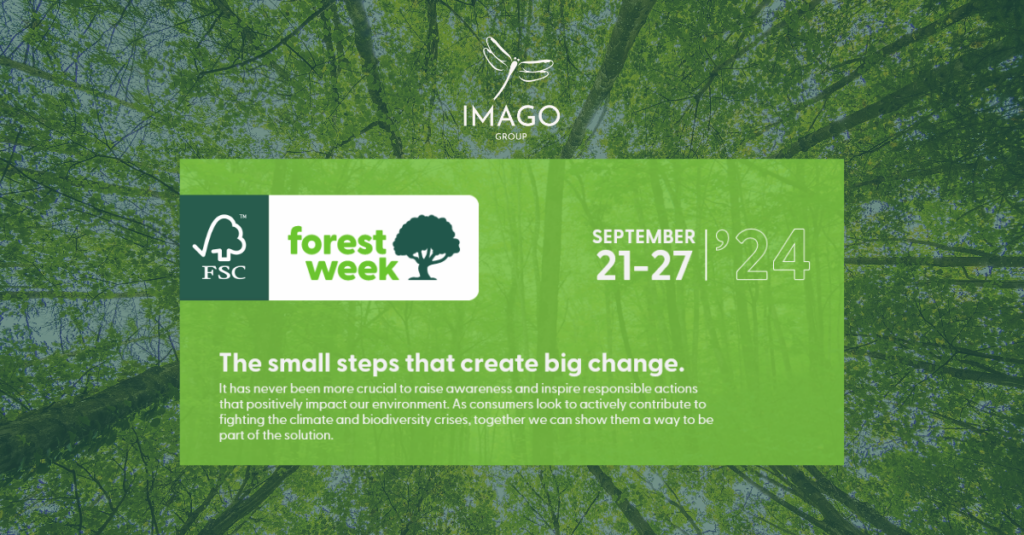 FSC™ Forest Week 2024: Small Steps for Big Change